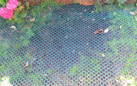 Grass Protection Mesh & Plastic Edging Used On Garden