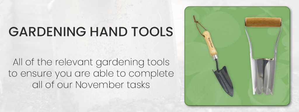 November Gardening Tasks | Jobs For Your Garden In November